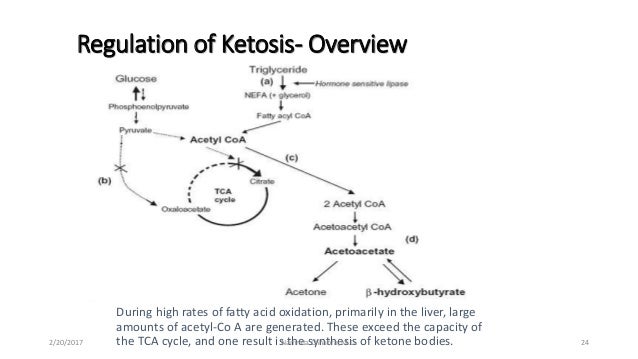 Ketosis a quick revision