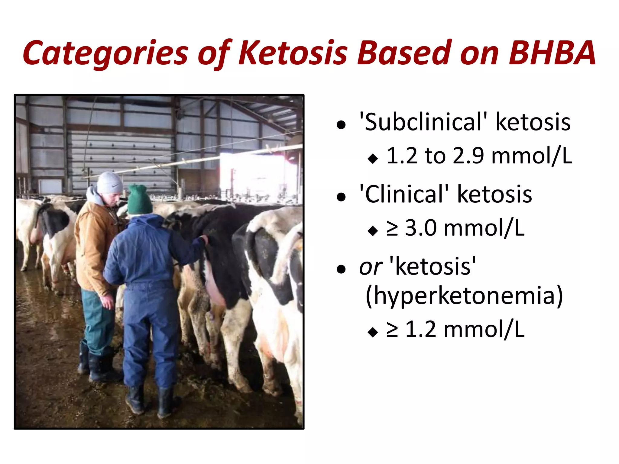 Diagnosing and Monitoring Ketosis in Dairy Herds | PPTX
