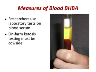 Diagnosing and Monitoring Ketosis in Dairy Herds | PPTX
