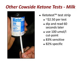 Diagnosing and Monitoring Ketosis in Dairy Herds | PPTX