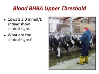 Diagnosing and Monitoring Ketosis in Dairy Herds | PPTX