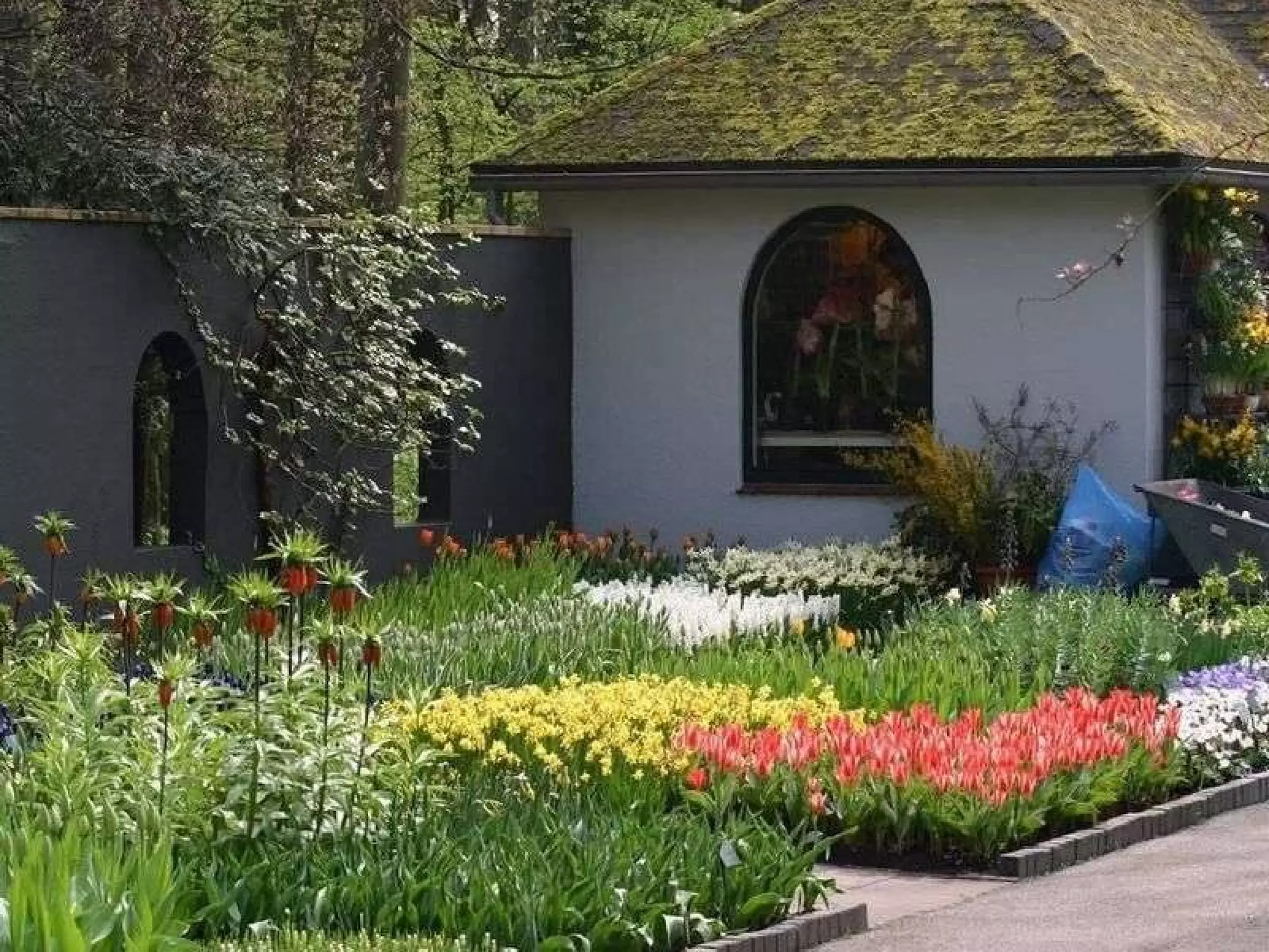 Keukenhof - Gradina Edenului | PPS