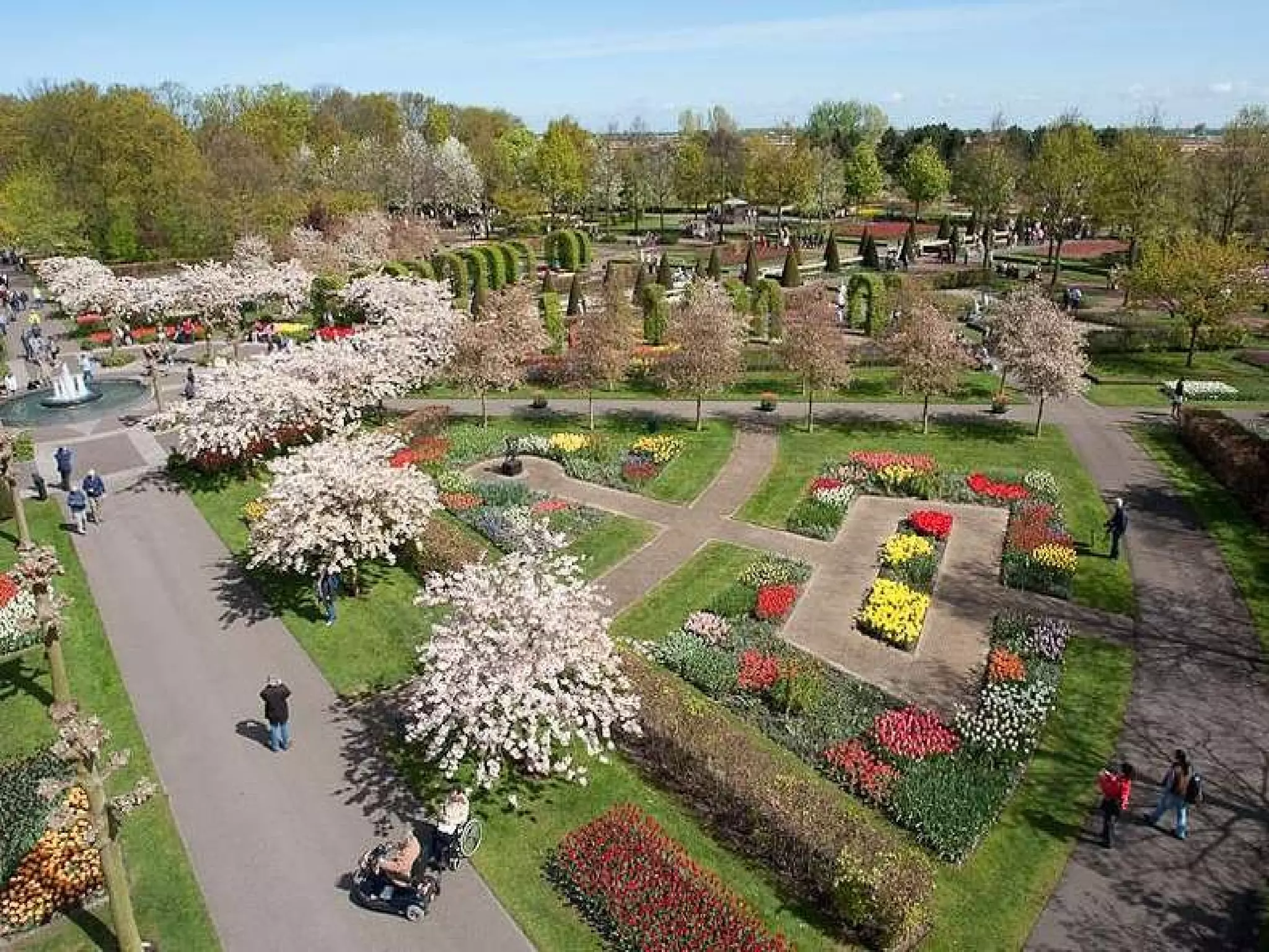 Keukenhof - Gradina Edenului | PPS