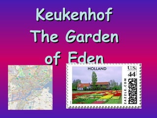 Keukenhof - Gradina Edenului | PPT