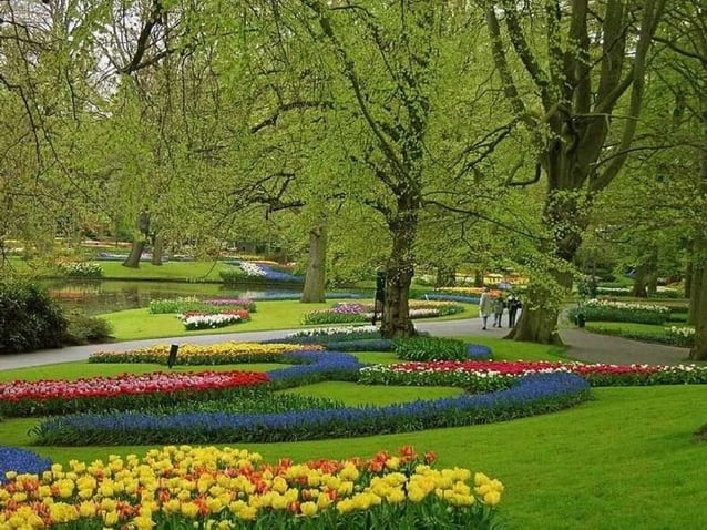 Keukenhof - Gradina Edenului | PPT | Free Download