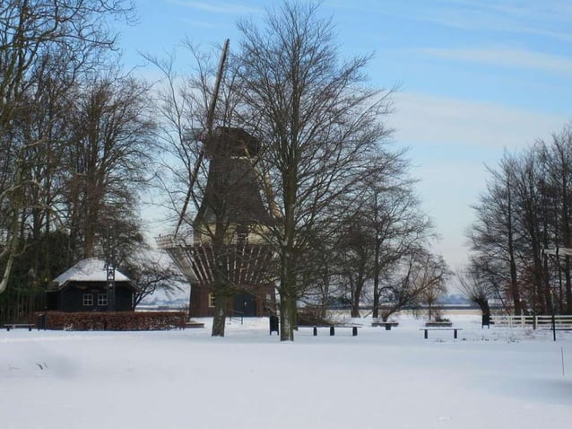 Keukenhof - Gradina Edenului | PPS