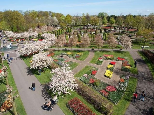 Keukenhof - Gradina Edenului | PPS