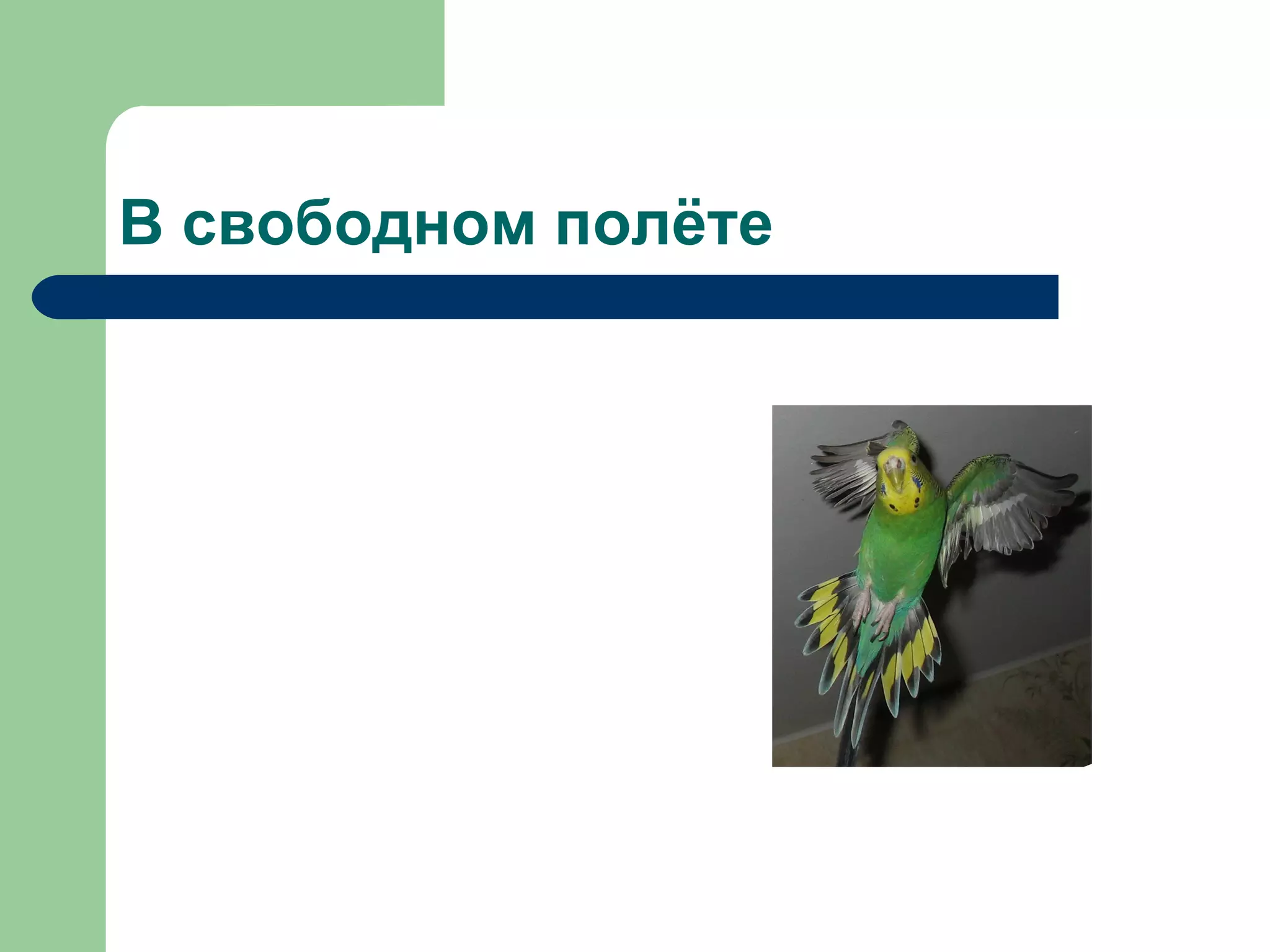 Kevad | PPT