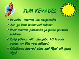 Kevad kokkuvote | PPT