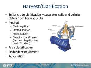 An Overview of Biologics Manufacturing Processes and Things to Consider ...
