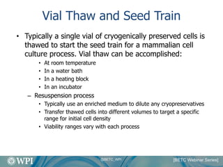 An Overview of Biologics Manufacturing Processes and Things to Consider ...