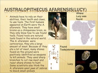 Kevin C. tools used by early people | PPT