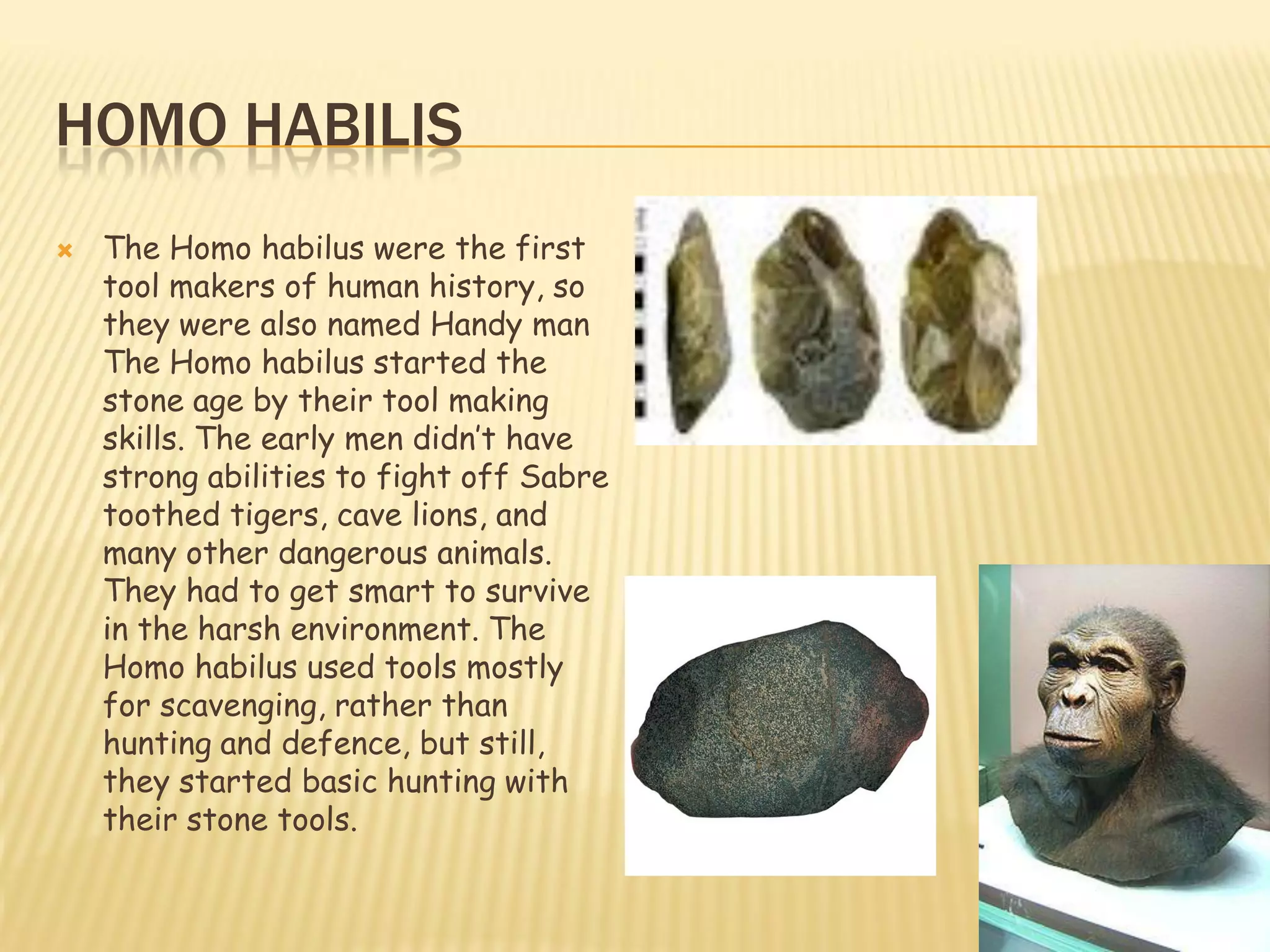 Tools used by early people | PDF