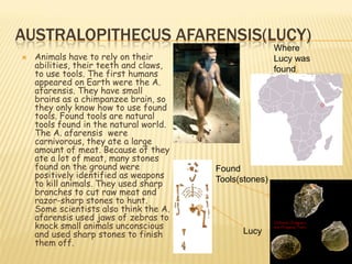 Tools used by early people | PDF