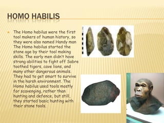 Tools used by early people | PDF