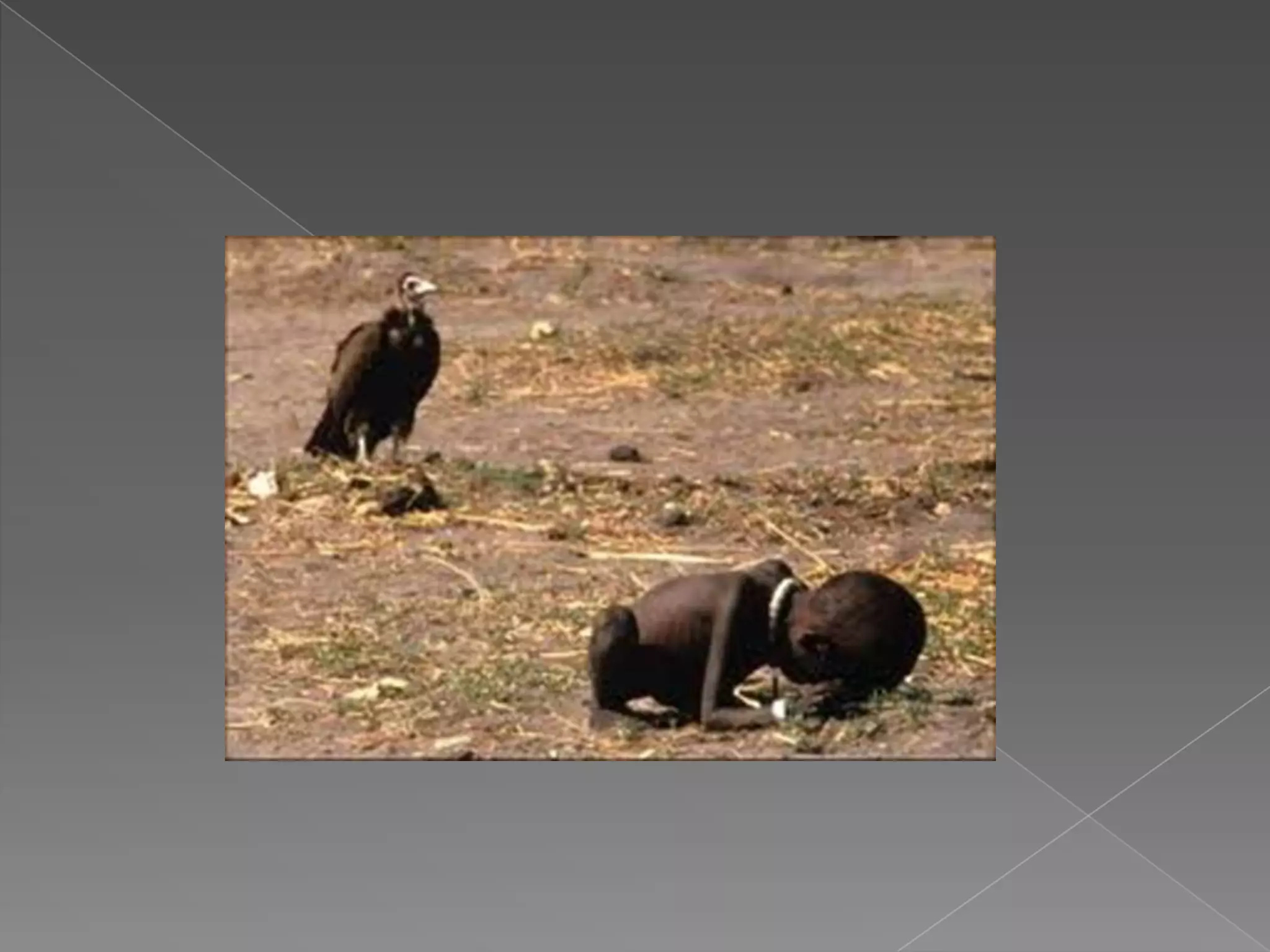 Kevin carter photography | PPT