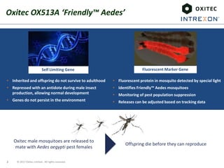 Kevin Gorman-Enfermedades transmitidas por vectores | PPTX