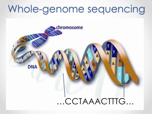Kevin Mitchell Rare Disease Day 2016 Presentation