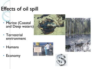 Kevins Presentation on GIS and Oil Spill Hazards | PPT | Geography ...