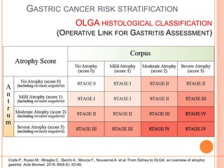 The role of non-invasive diagnosis in the evolution of chronic atrophic ...