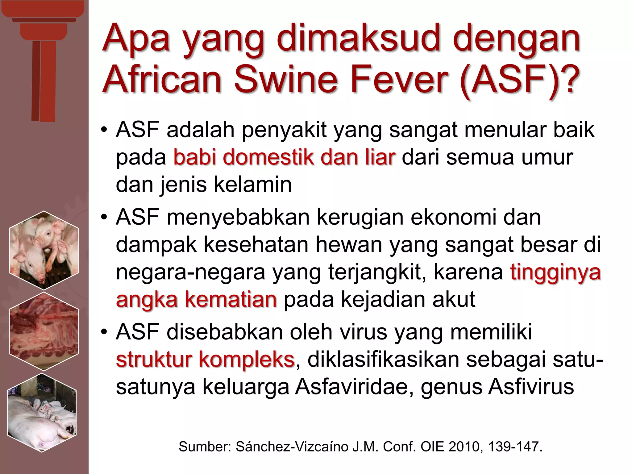 Kewaspadaan Terhadap African Swine Fever - Ditkeswan - Presentasi Zoom ...