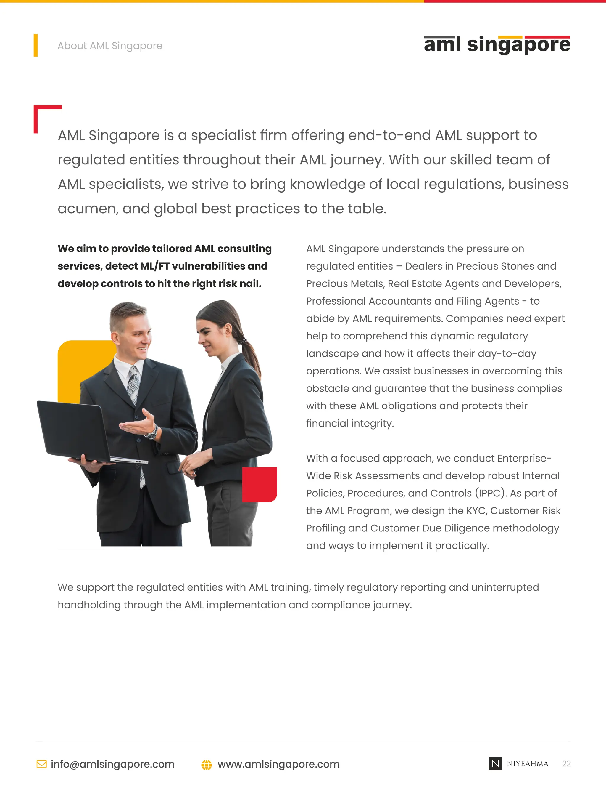 AML Fundamentals: Strengthening Your Financial Crime Defenses | PDF