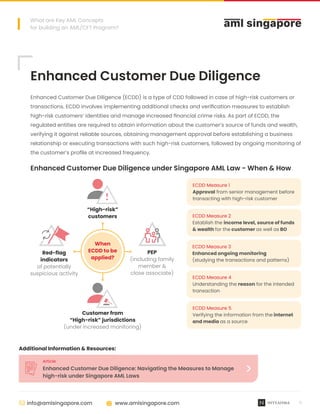 AML Fundamentals: Strengthening Your Financial Crime Defenses | PDF