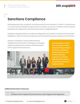 AML Fundamentals: Strengthening Your Financial Crime Defenses | PDF