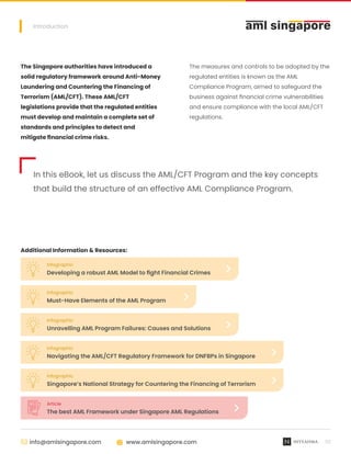 AML Fundamentals: Strengthening Your Financial Crime Defenses | PDF