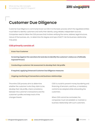 AML Fundamentals: Strengthening Your Financial Crime Defenses | PDF