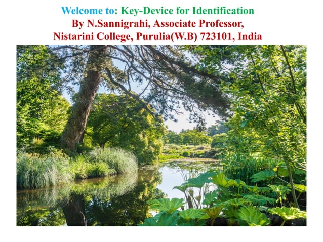 Key device for identification | PDF | Gardening | Home & Garden