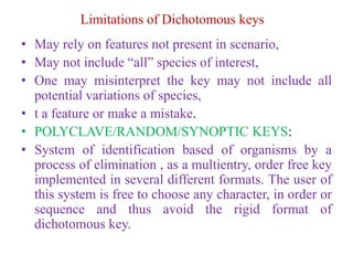Key device for identification | PDF