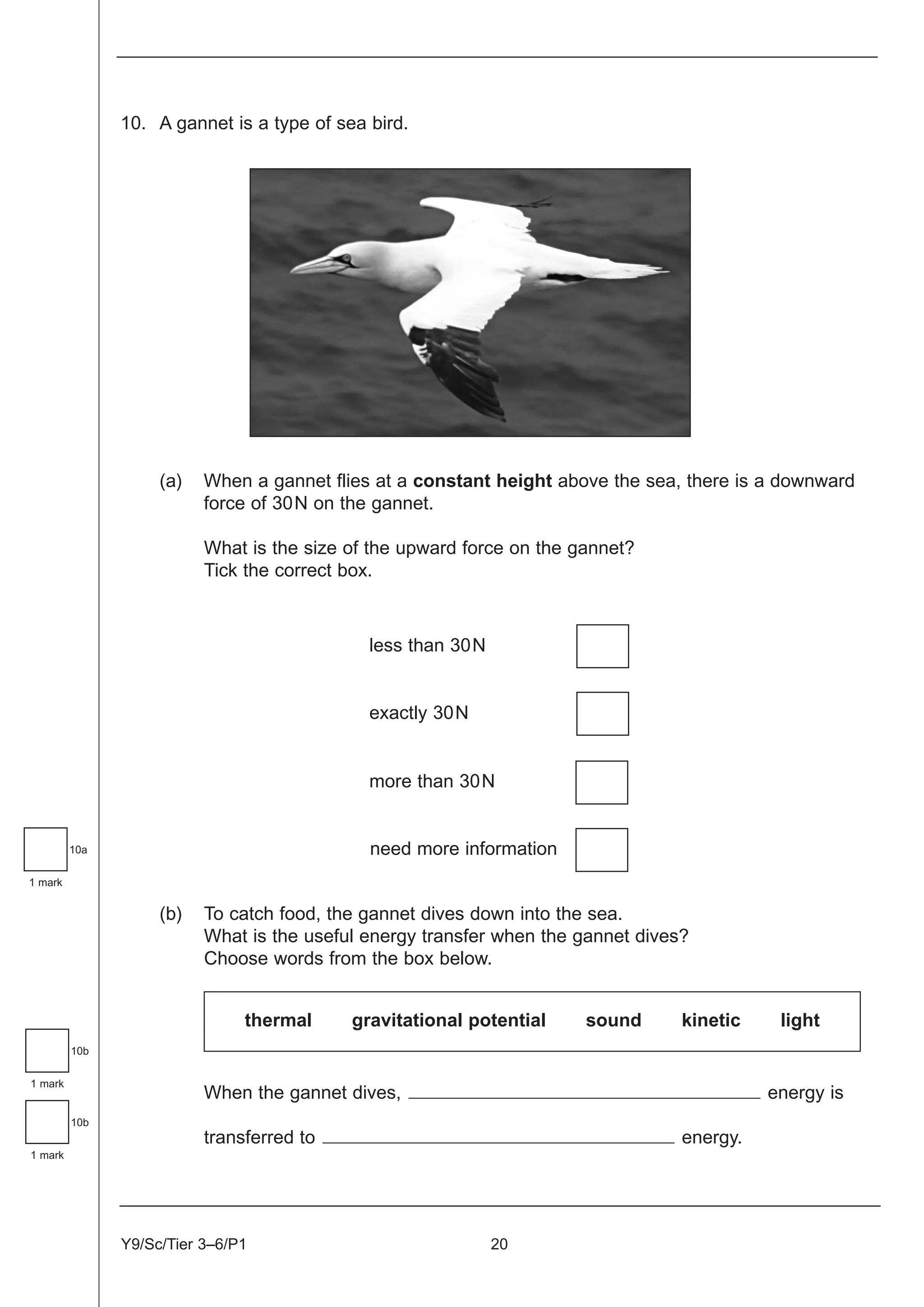 Key stage-3-ks3-science-36 p1-2010 | PDF