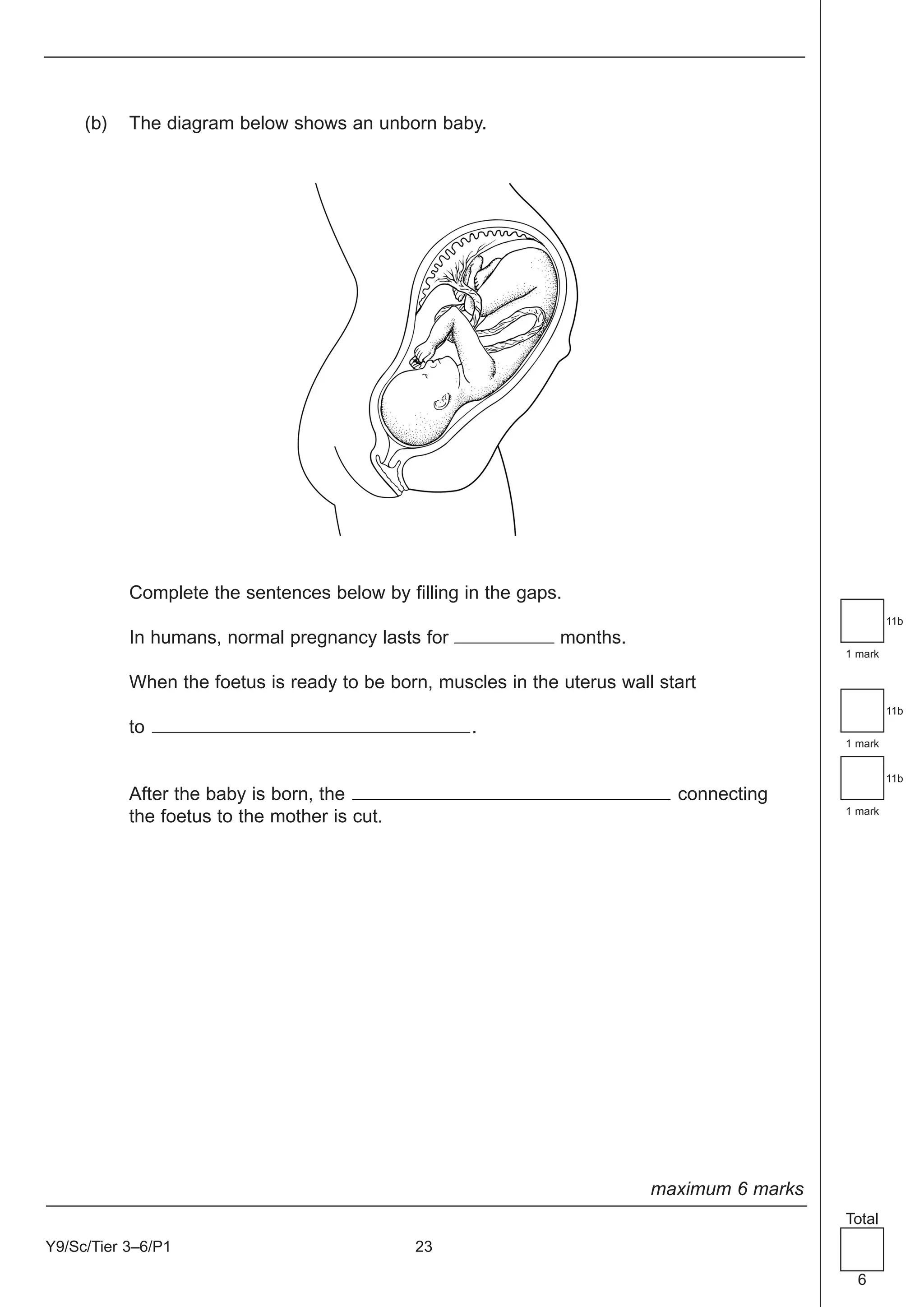 Key stage-3-ks3-science-36 p1-2010 | PDF