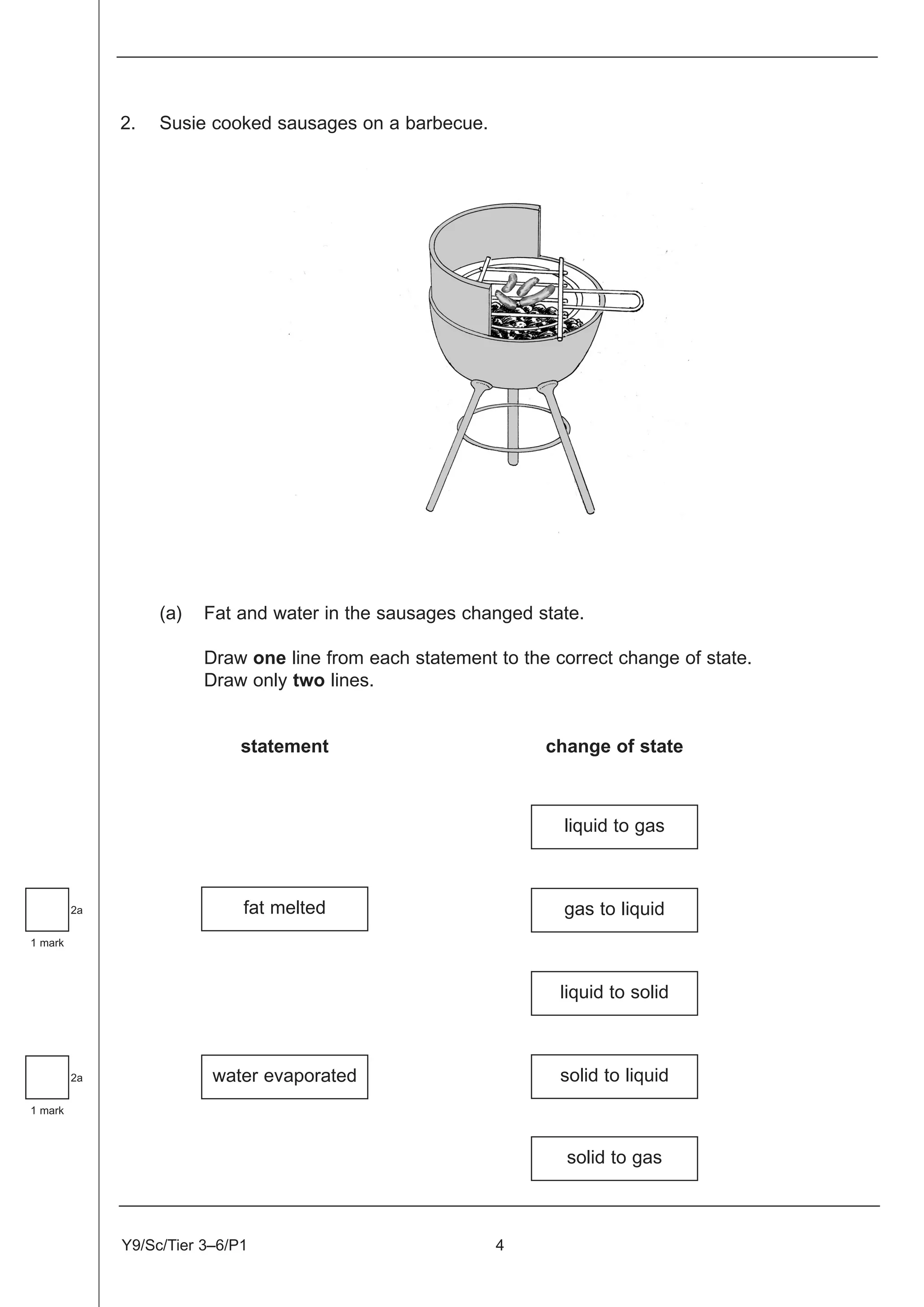 Key stage-3-ks3-science-36 p1-2010 | PDF