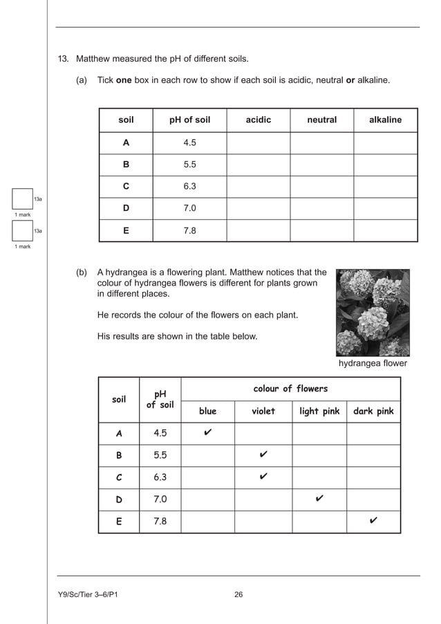 Key stage-3-ks3-science-36 p1-2010 | PDF | Barbecues and Grilling ...