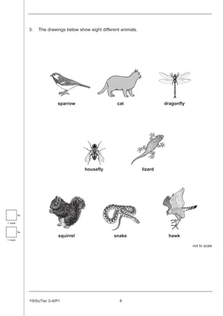 Key stage-3-ks3-science-36 p1-2010 | PDF