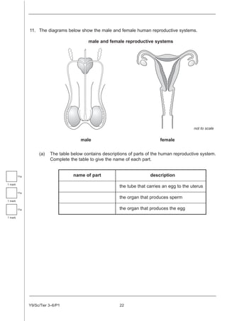 Key stage-3-ks3-science-36 p1-2010