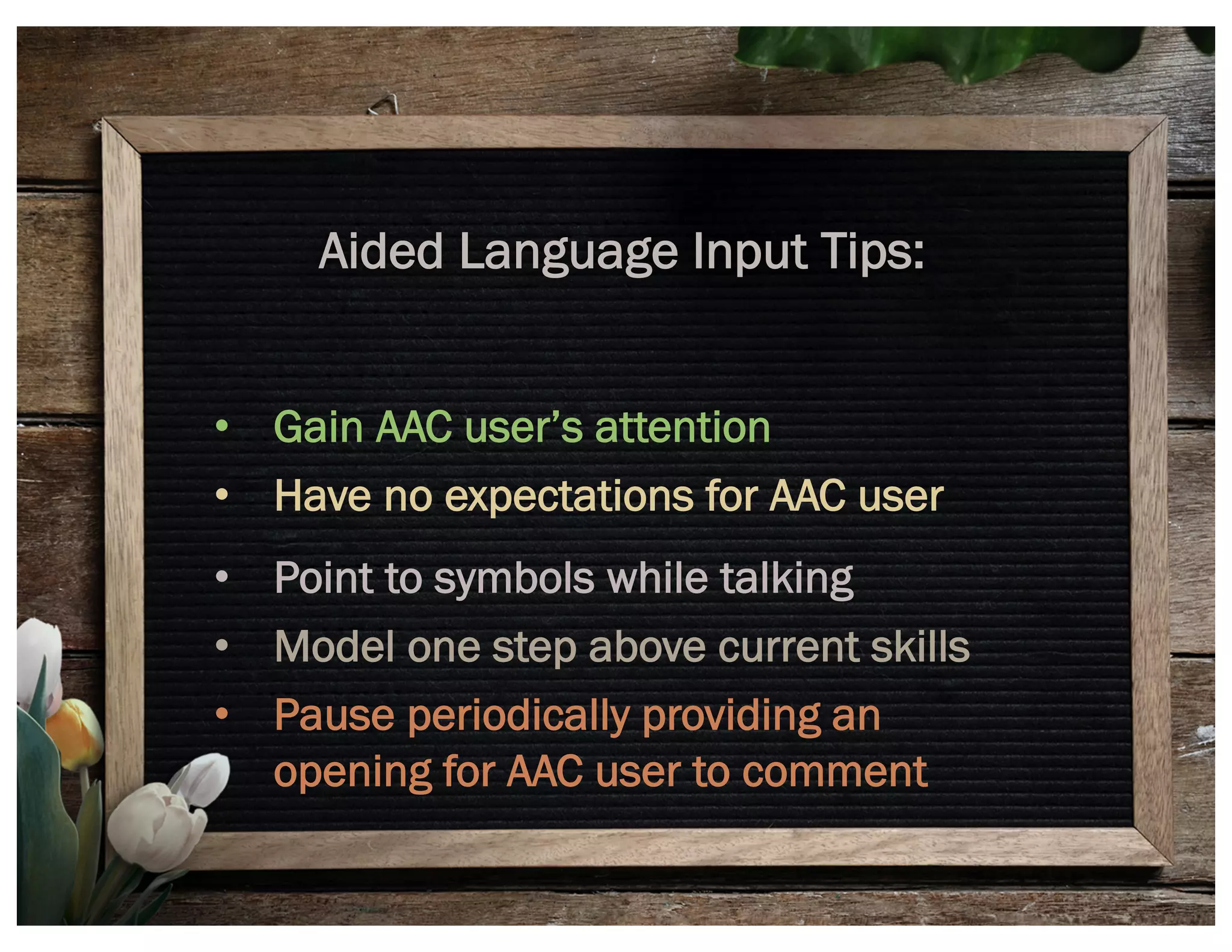 Key AAC Supports | PDF