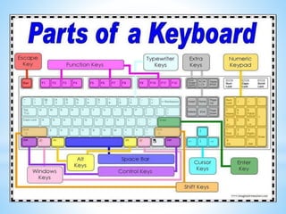 Keyboard | PPTX | Computer Peripherals | Computing