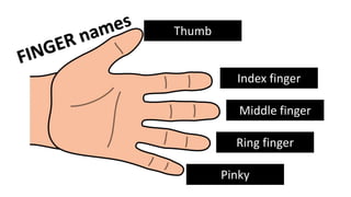 keyboard-and-proper-finger-positioning-210614142937.pdf