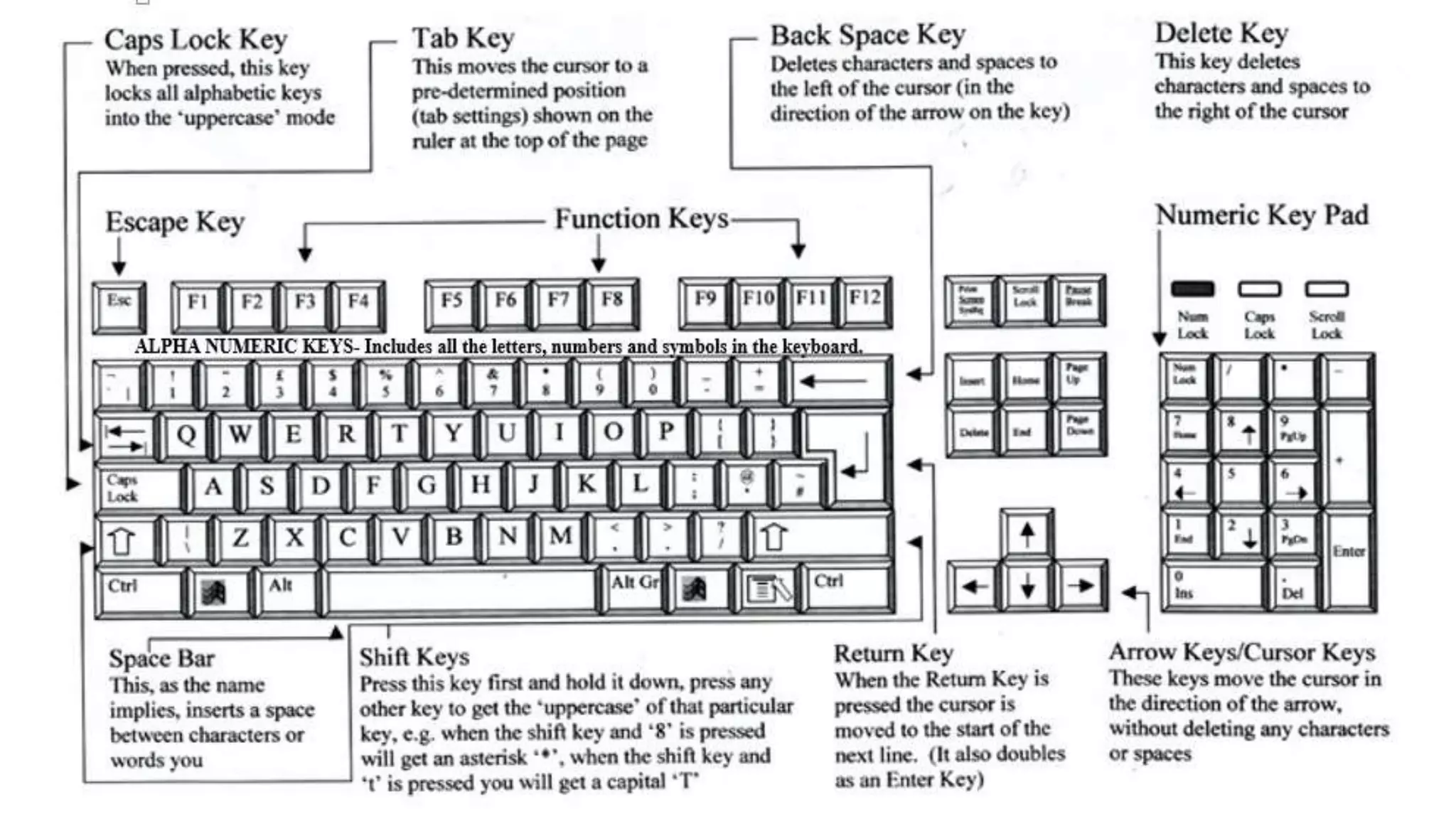 Keyboard and Parts of Microsoft Word.pptx