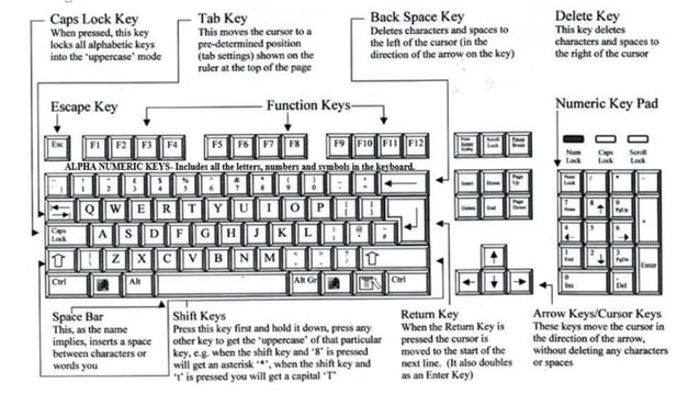 Keyboard and Parts of Microsoft Word.pptx | Computer Peripherals | Computing