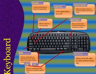 Keyboard basics | DOCX