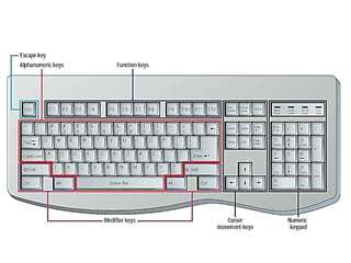 Keyboard & Mouse basics | PPT