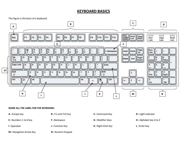 KEYBOARD BASICS CONCEPT | DOCX | Computer Peripherals | Computing