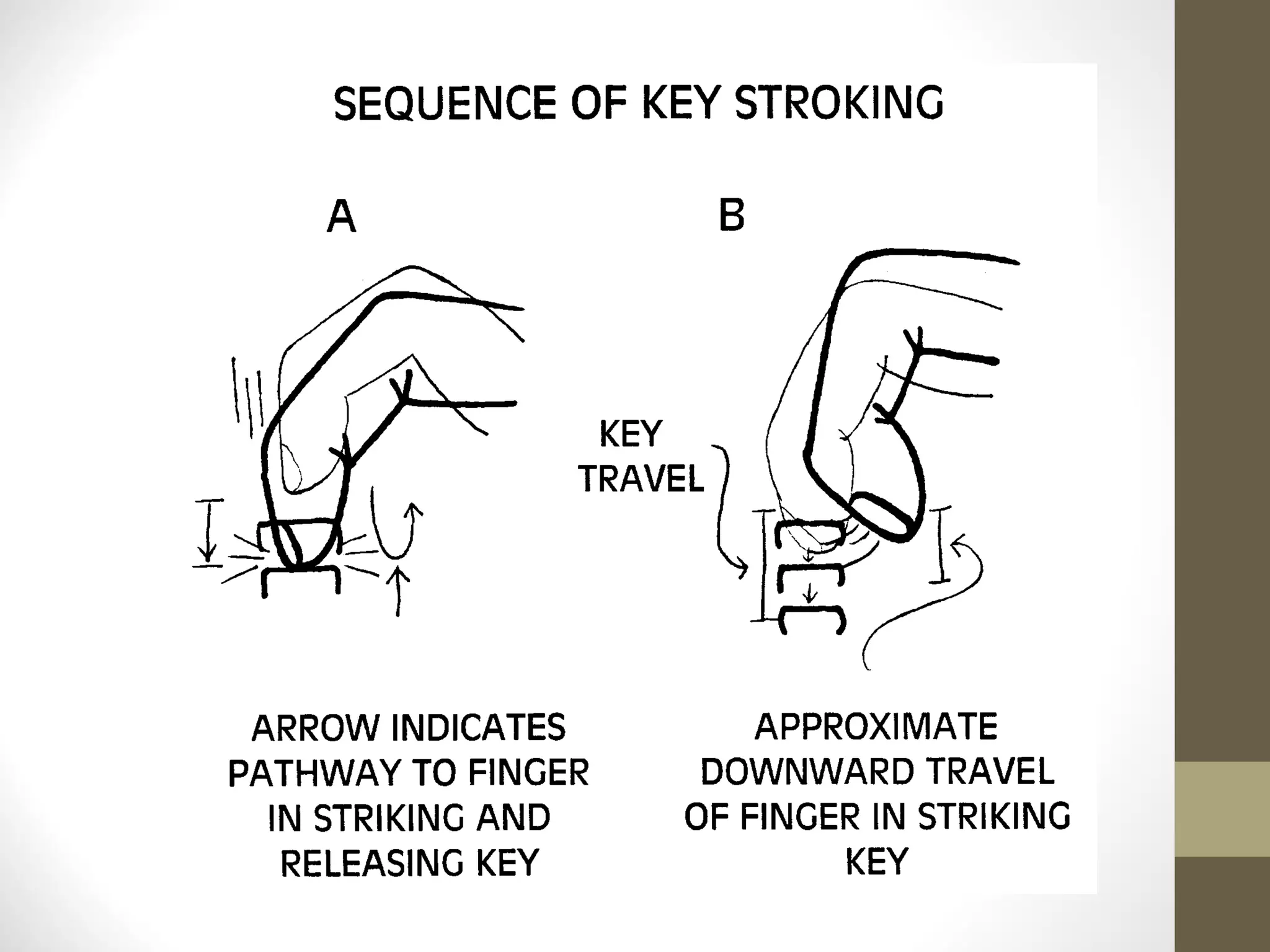 Keyboarding ppt | PPT