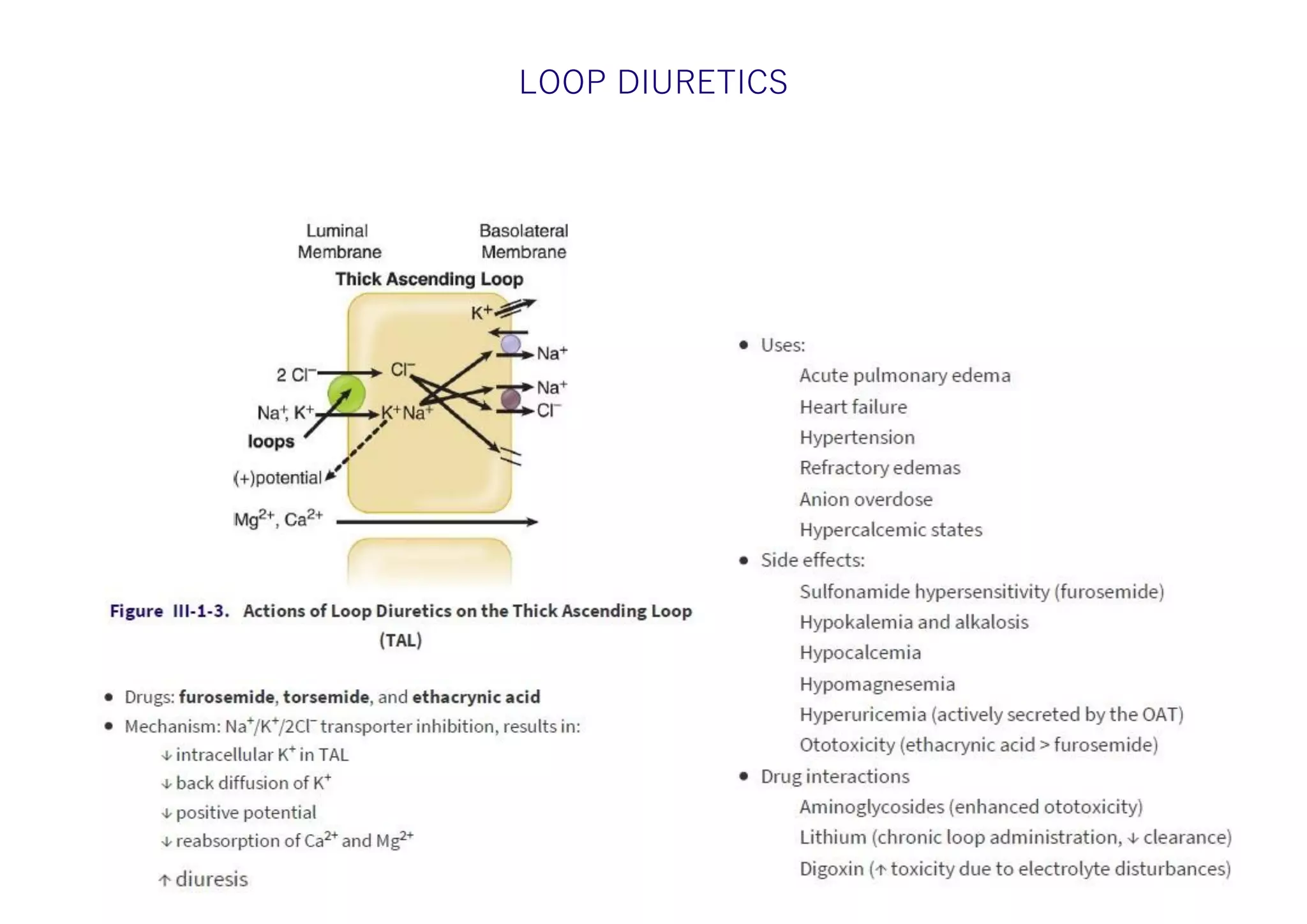Keycards Diuretics in Heart Failure.pdf
