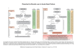 Keycards Diuretics in Heart Failure.pdf