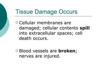 Key cellular events after an injury | PPT